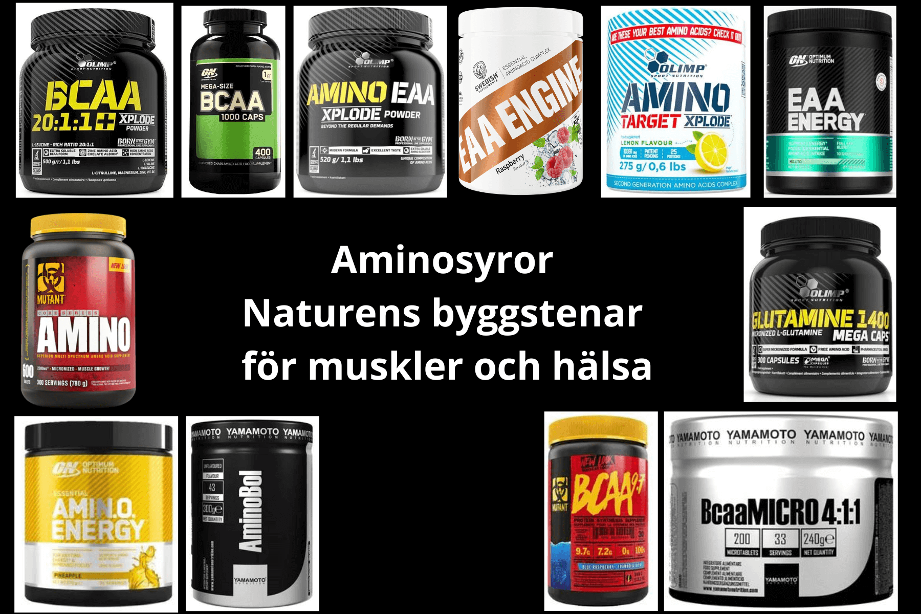 Aminosyror är kända som proteinets byggstenar – Muskelshoppen